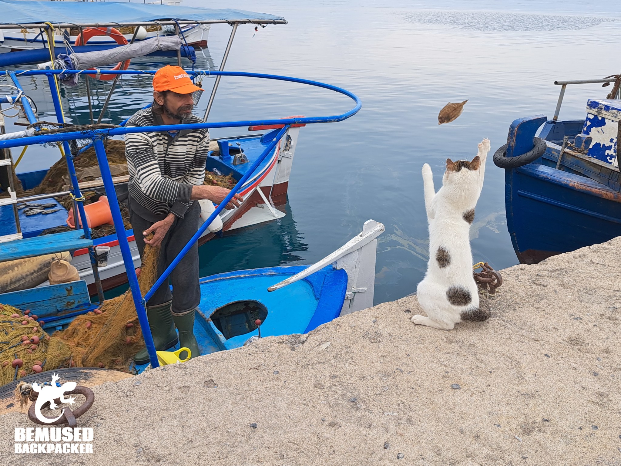 10 Of The Best Beaches Near Kalamata In The Peloponnese, Greece ...